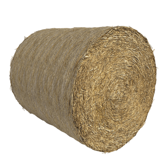 Dairy cattle sheds | Miglioranza Srl Marostica VI Italy